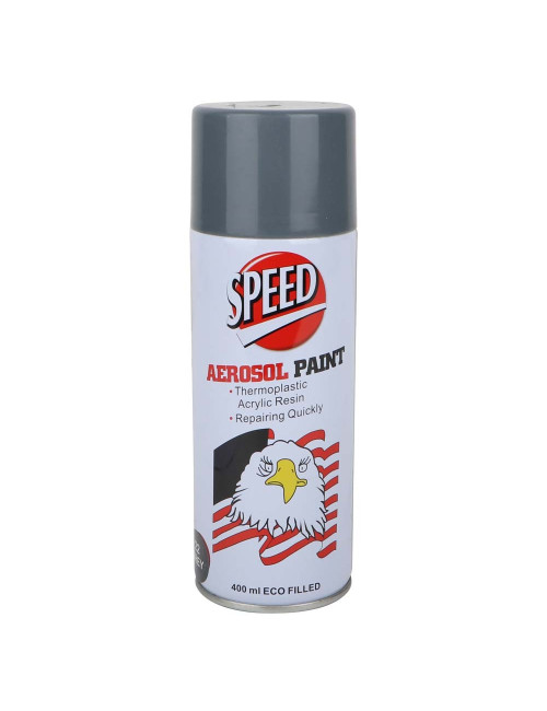 SPRAY PAINT 22 GREY