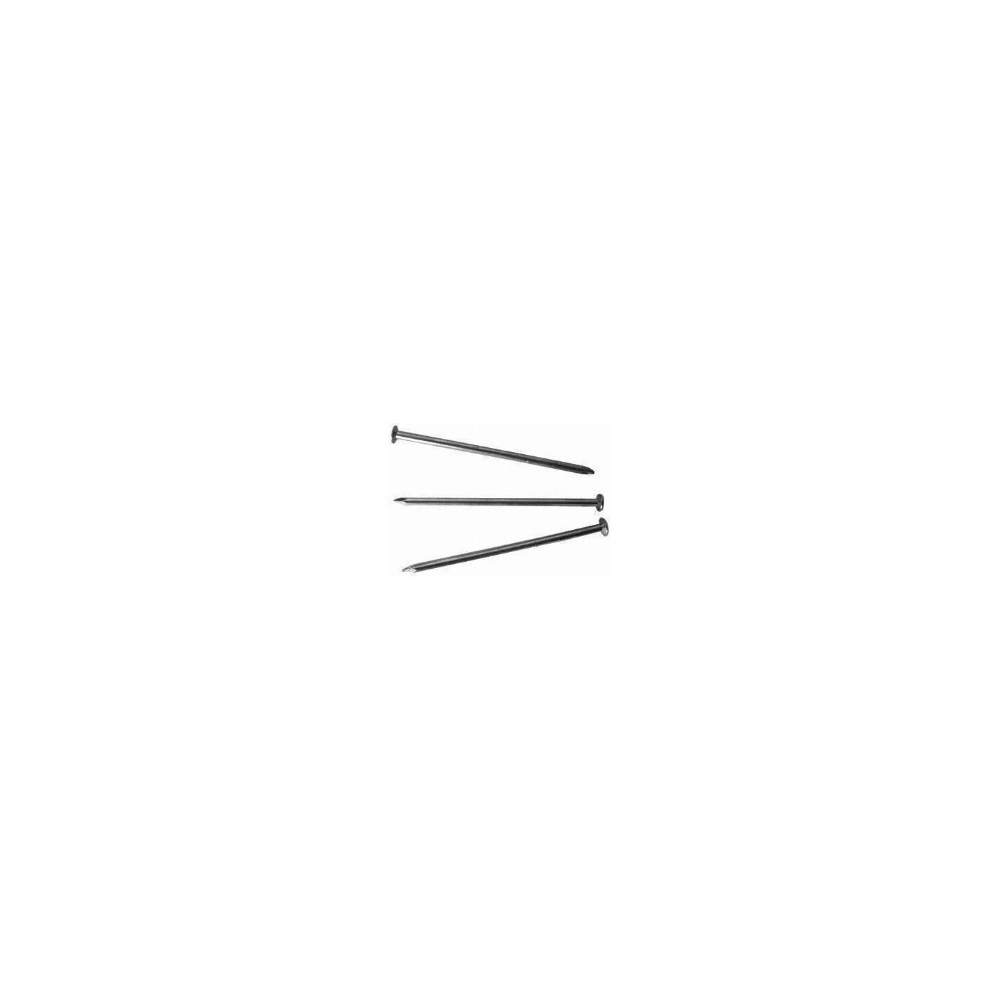 Common Nails With Head 2-1/2''x 11G x 20KG/CASE - CHN