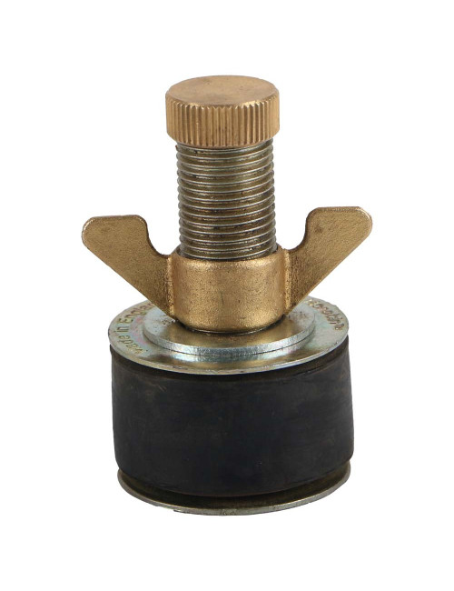 STEEL TEST PLUG 2"