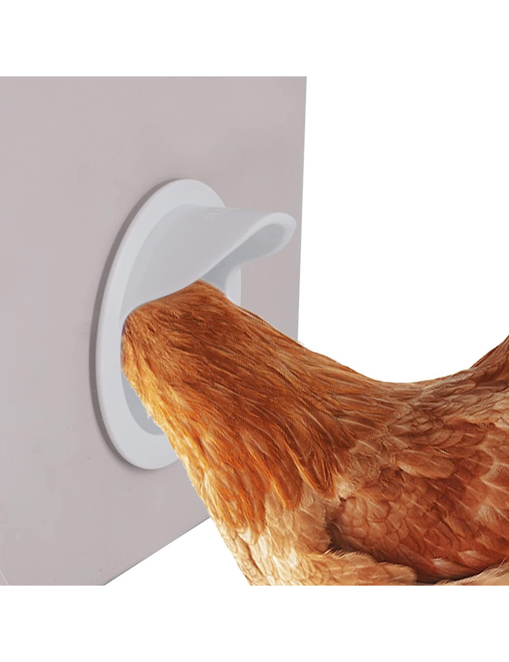 POULTRY FEEDER PORT