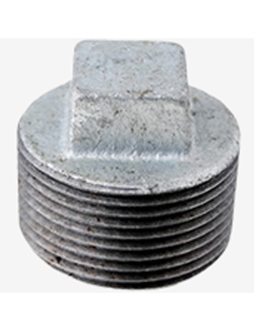 GI PLUG 1"
