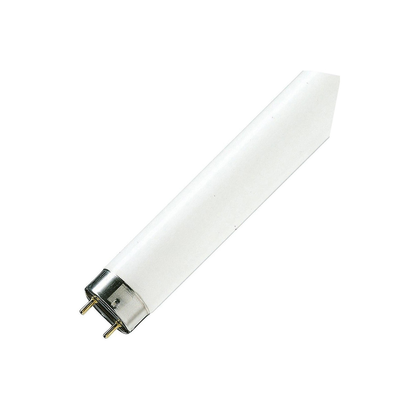 FLUORESCENT BULB COLOURED 4 FT