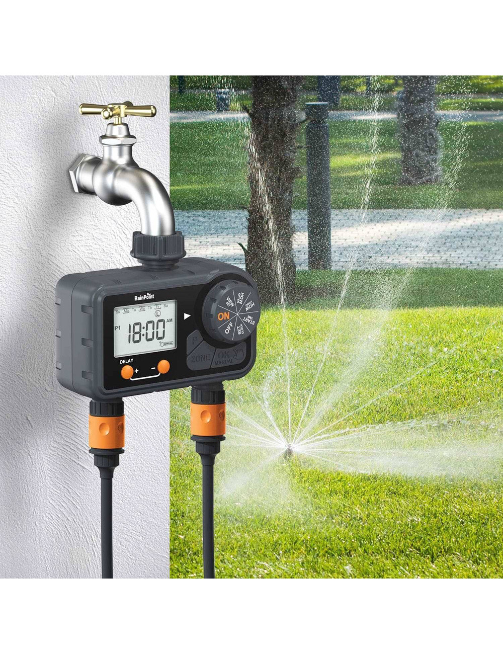 RAINPOINT 2 ZONE TIMER