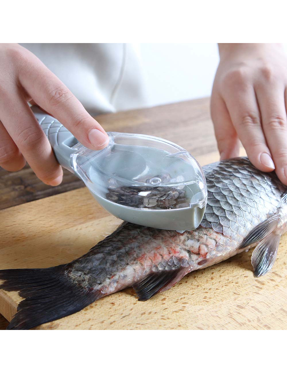 FISH SCRAPER MANUAL