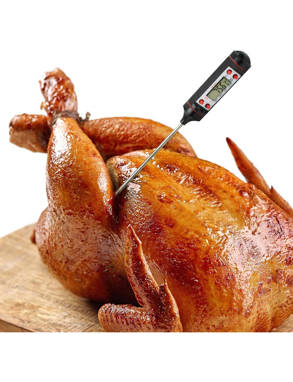 TP-101 DIGITAL THERMOMETER