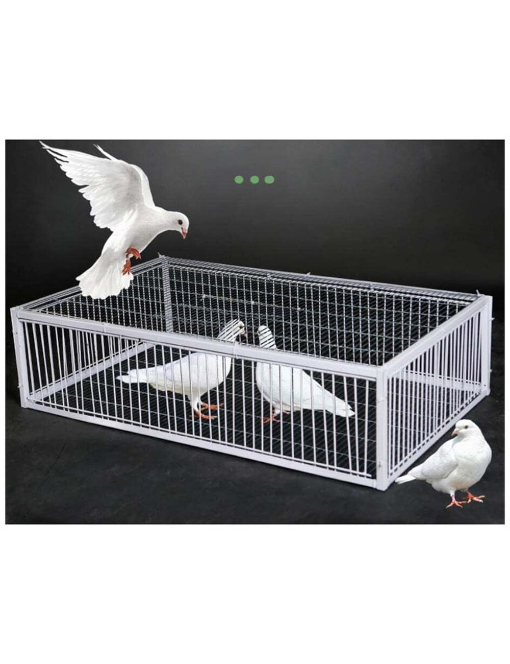 CM-144 PIGEON TRAP 70 X 30 X 26CM