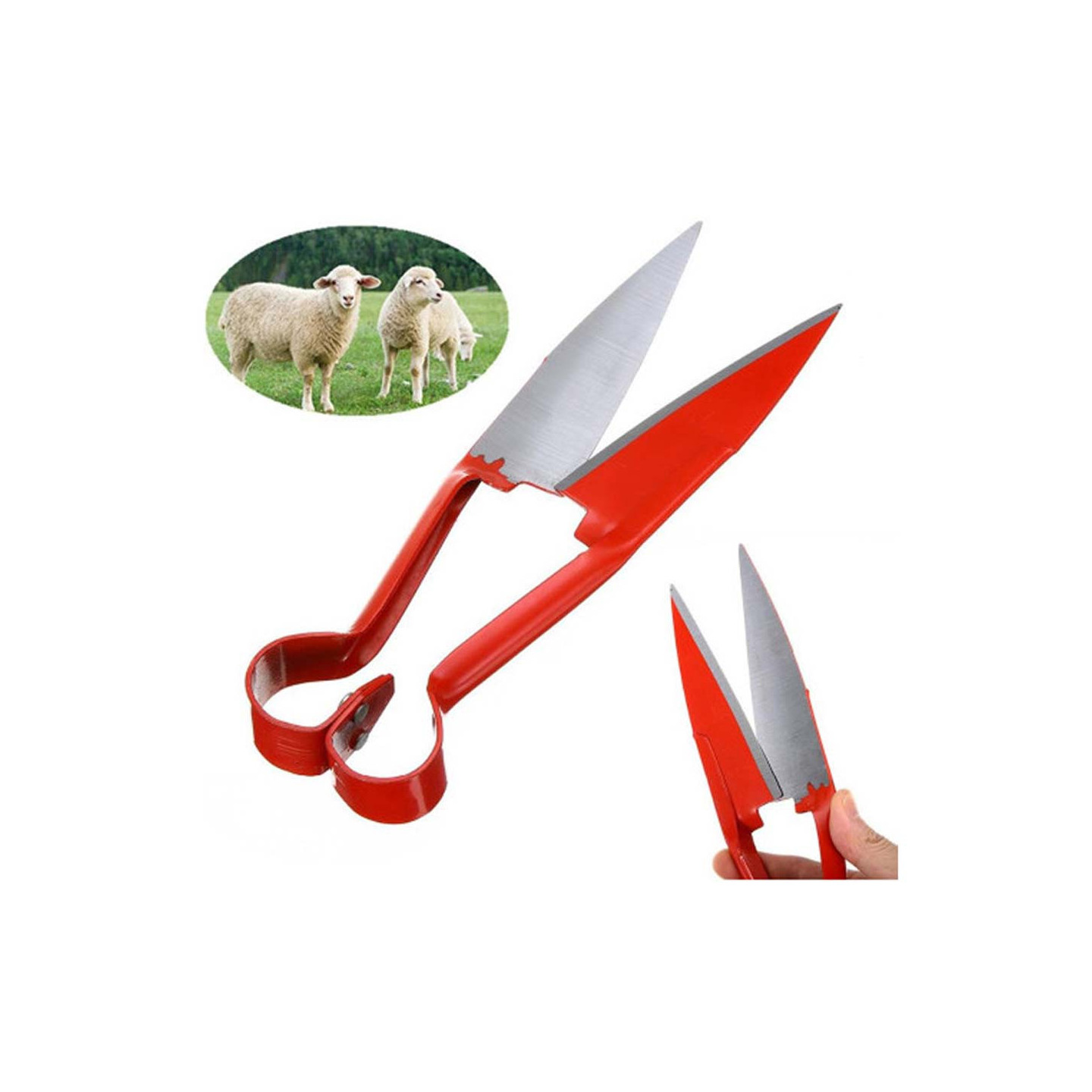 562A SHEEP CLIPPING SCISSOR W/ RUBBER HANDLE